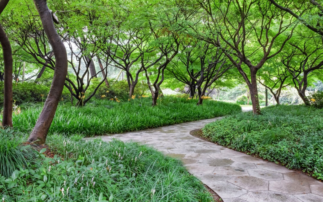 park-with-vegetation-stone-pathway_web | Catholic Benefits Association